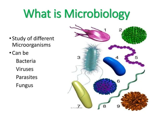 MEDICAL MICROBIOLOGY revisiting the history by Dr.TV.Rao MD medical ...