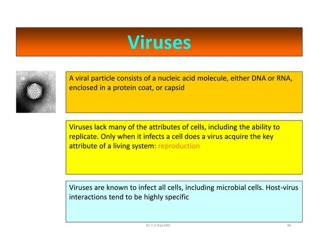 MEDICAL MICROBIOLOGY revisiting the history by Dr.TV.Rao MD medical ...