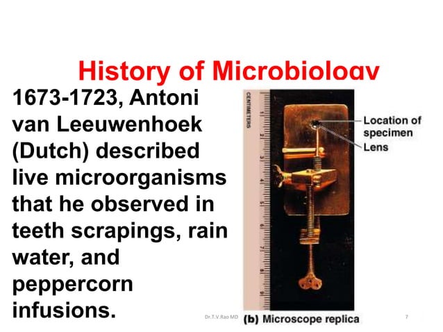 MEDICAL MICROBIOLOGY revisiting the history by Dr.TV.Rao MD medical ...