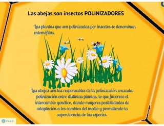 Importancia de las abejas | PDF
