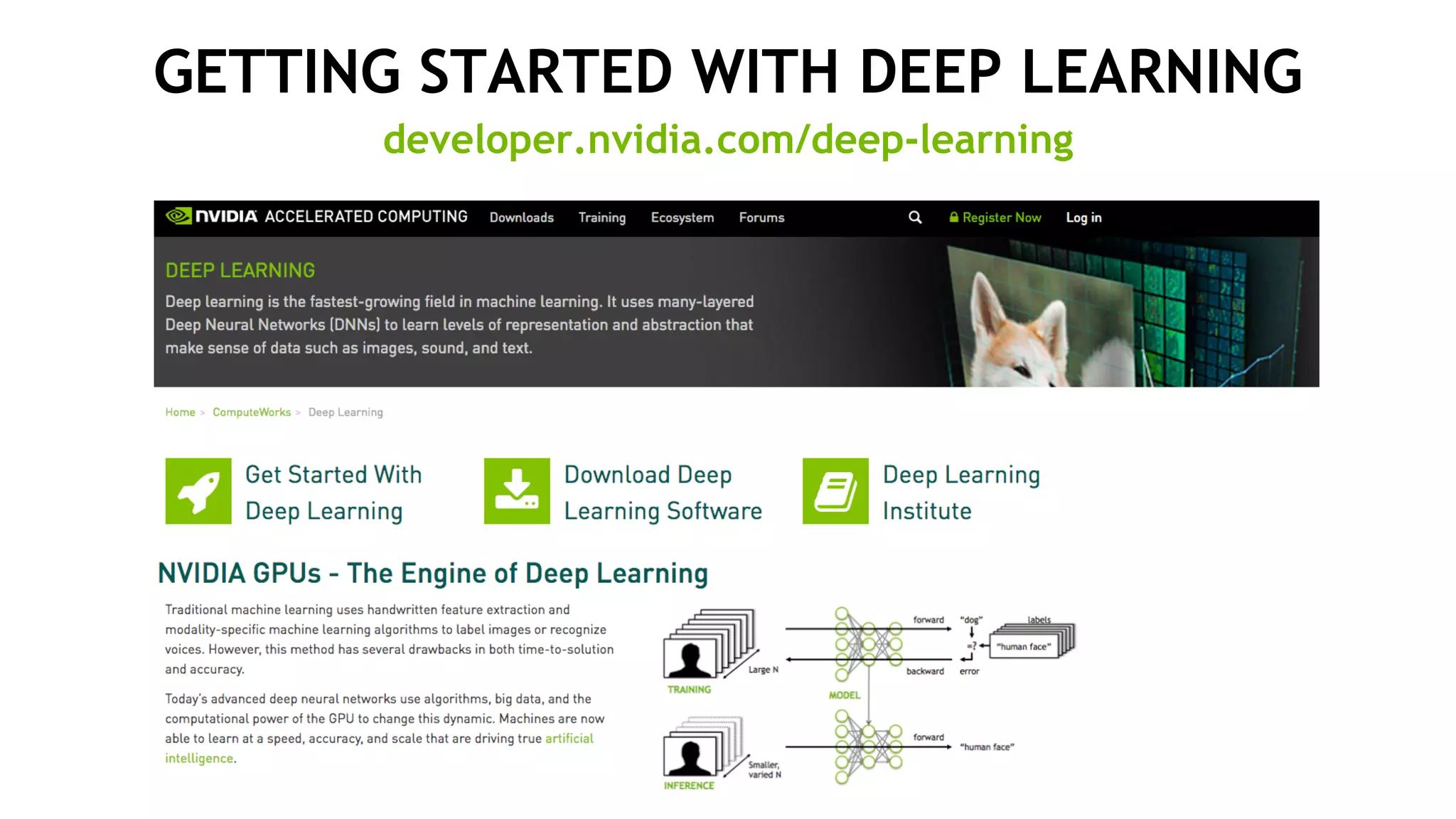 Introduction to Deep Learning (NVIDIA) | PDF