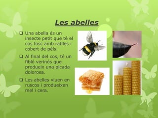Abelles | PPT