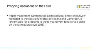 Abel Olajide Olorunnisola_Utilization of rattan resources in Africa | PDF
