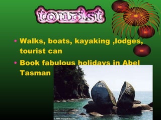Abel Tasman | PPT