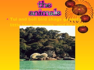 Abel Tasman | PPT