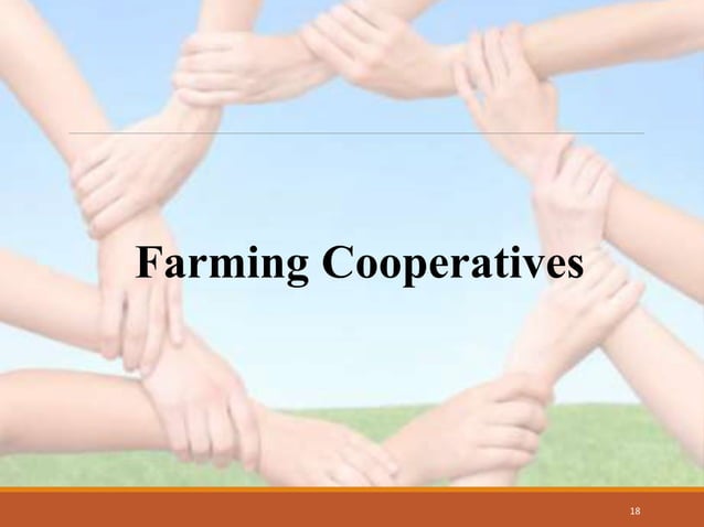 Role Of Cooperatives in AgriBusiness Development | PPTX | Agriculture ...