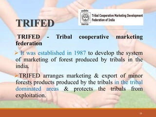 Role Of Cooperatives in AgriBusiness Development | PPTX