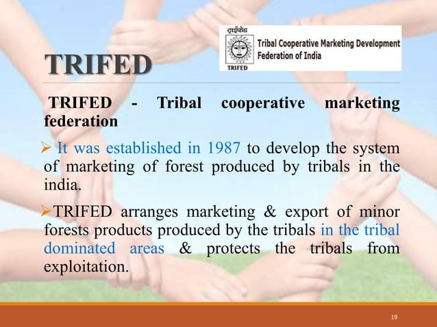 Role Of Cooperatives in AgriBusiness Development | PPT Role Of Cooperatives in AgriBusiness Development | PPT