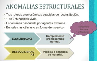 Anomalías cromosómicas | PPTX