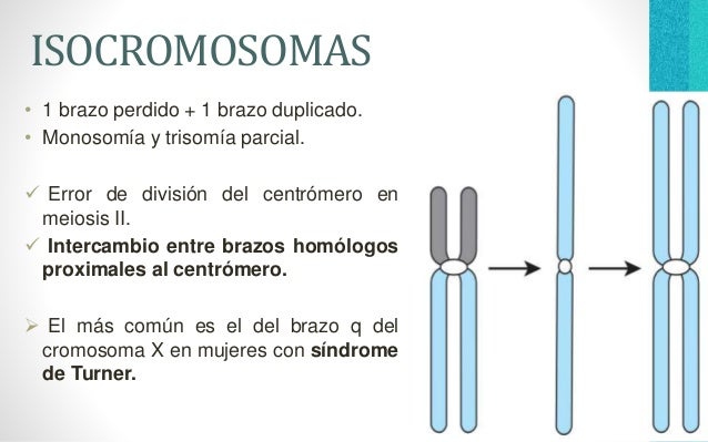 Isochromosome 21