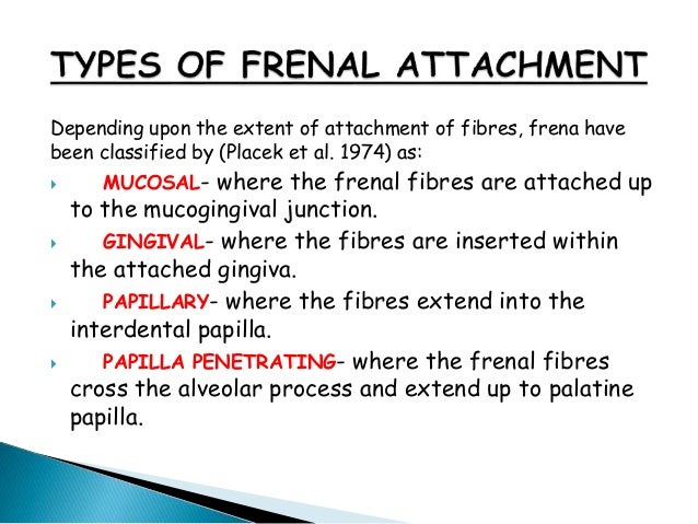 Aberrant frenum and its treatment