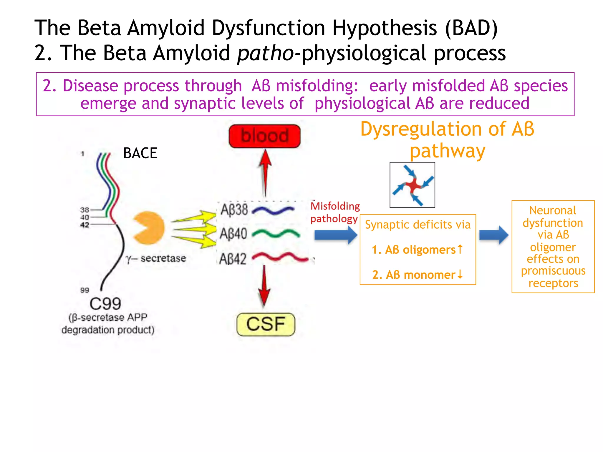Beta Amyloid Dysfunction Hypothesis in Alzheimer`s Disease | PDF