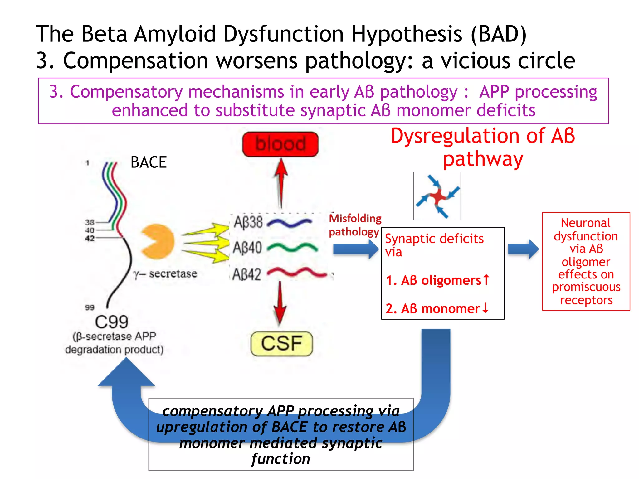 Beta Amyloid Dysfunction Hypothesis in Alzheimer`s Disease | PDF