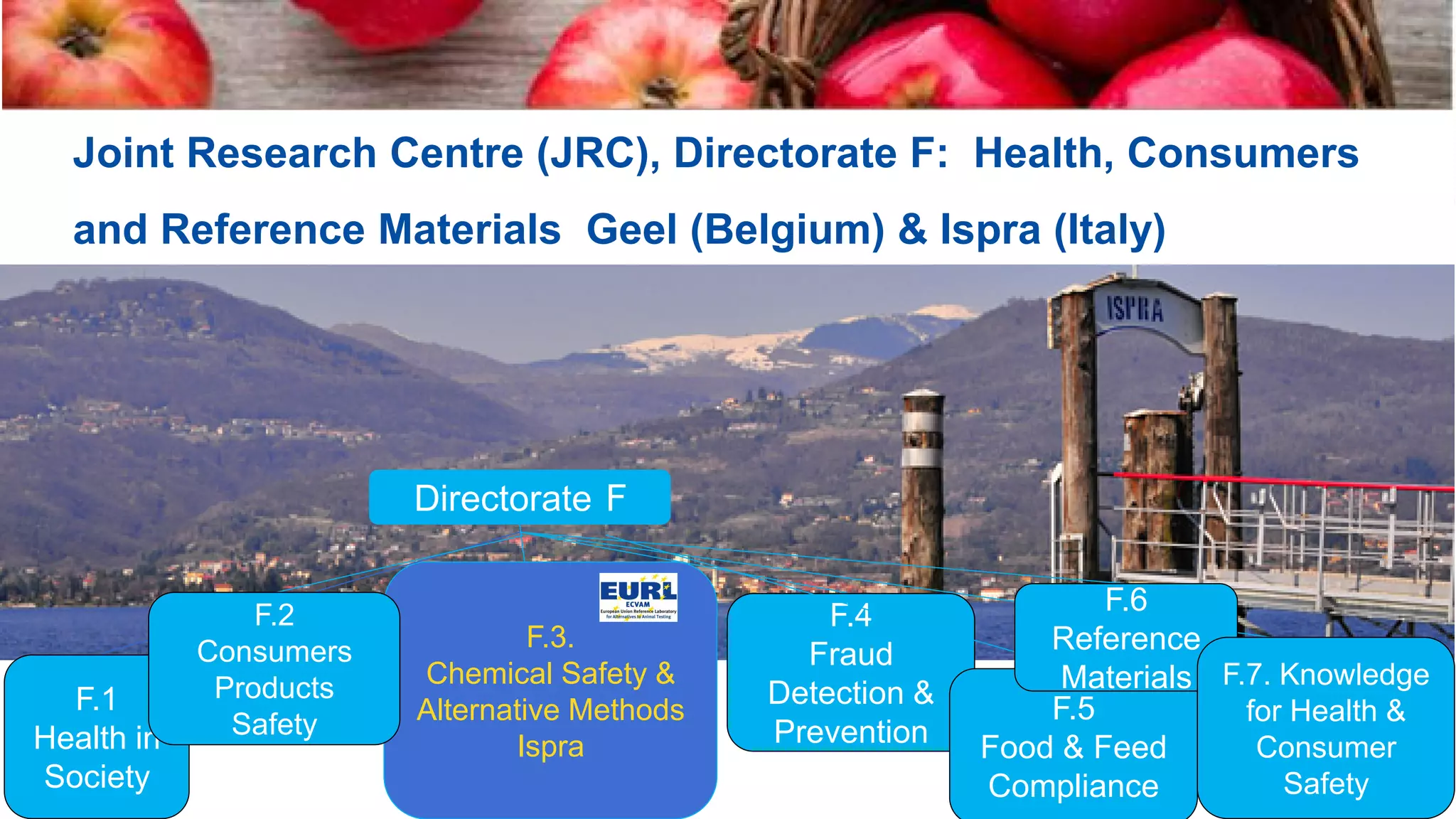A better understanding of the OECD Test Guidelines Programme and the ...