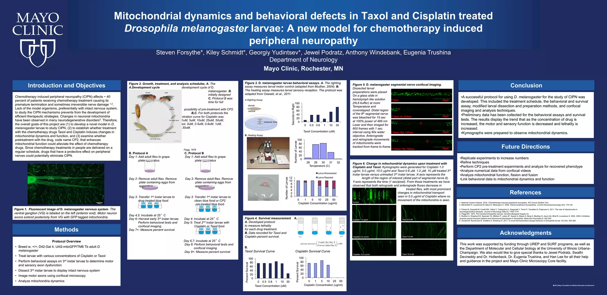 2011 Mayo Clinic Drosophila CIPN poster | PDF