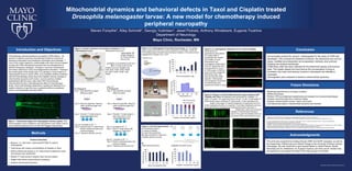 2011 Mayo Clinic Drosophila CIPN poster | PPT