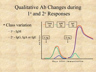 Ab Formation 2001 | PPT