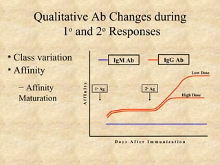 Ab Formation 2001 | PPT