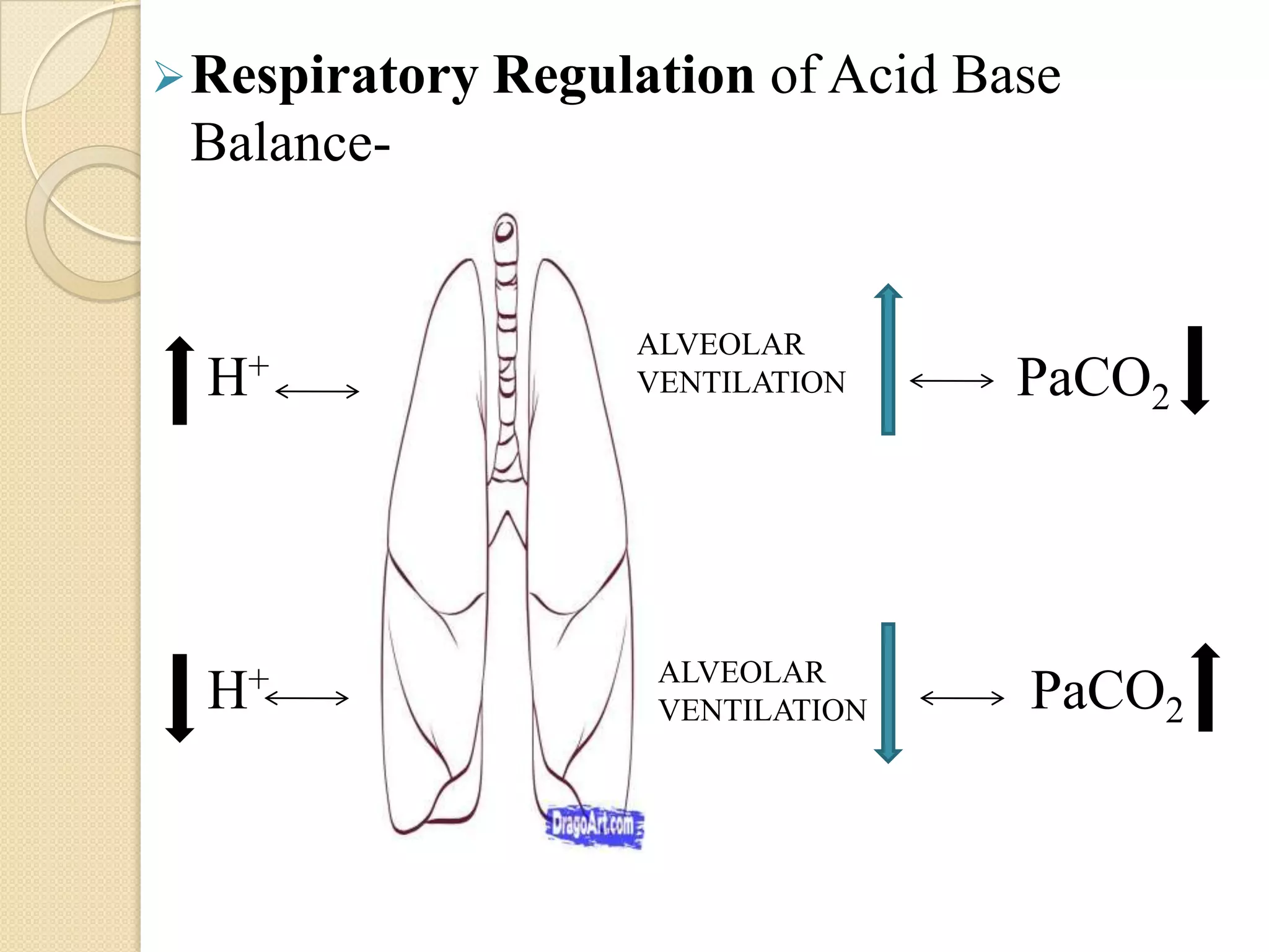ABG Interpretation | PPTX