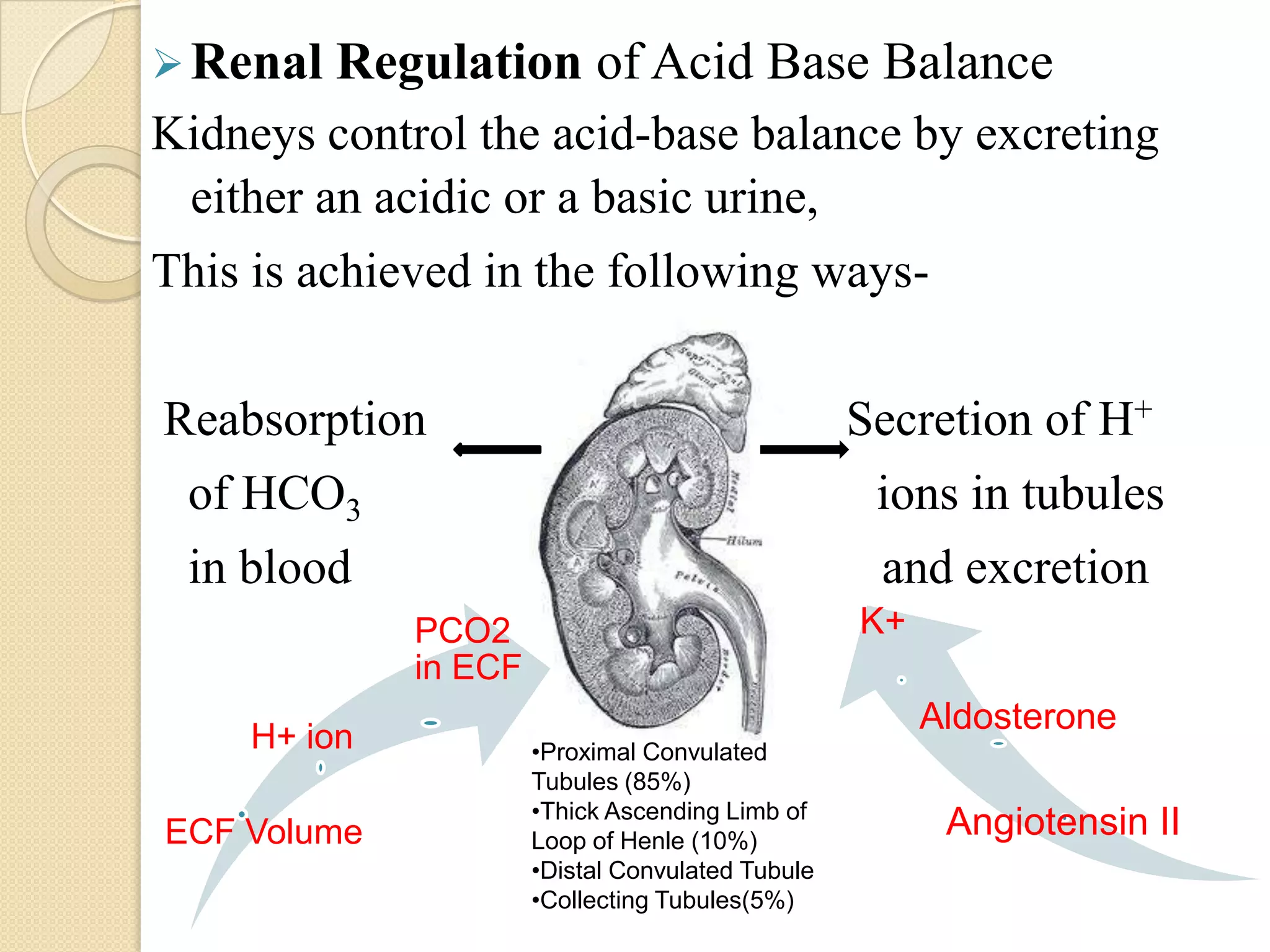 ABG Interpretation | PPTX
