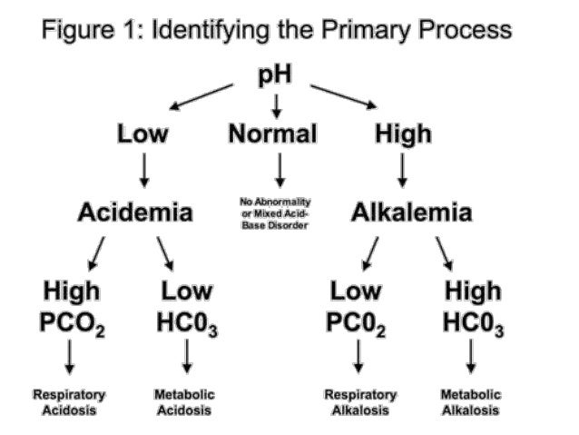 ARTERIAL BLOOD GASES