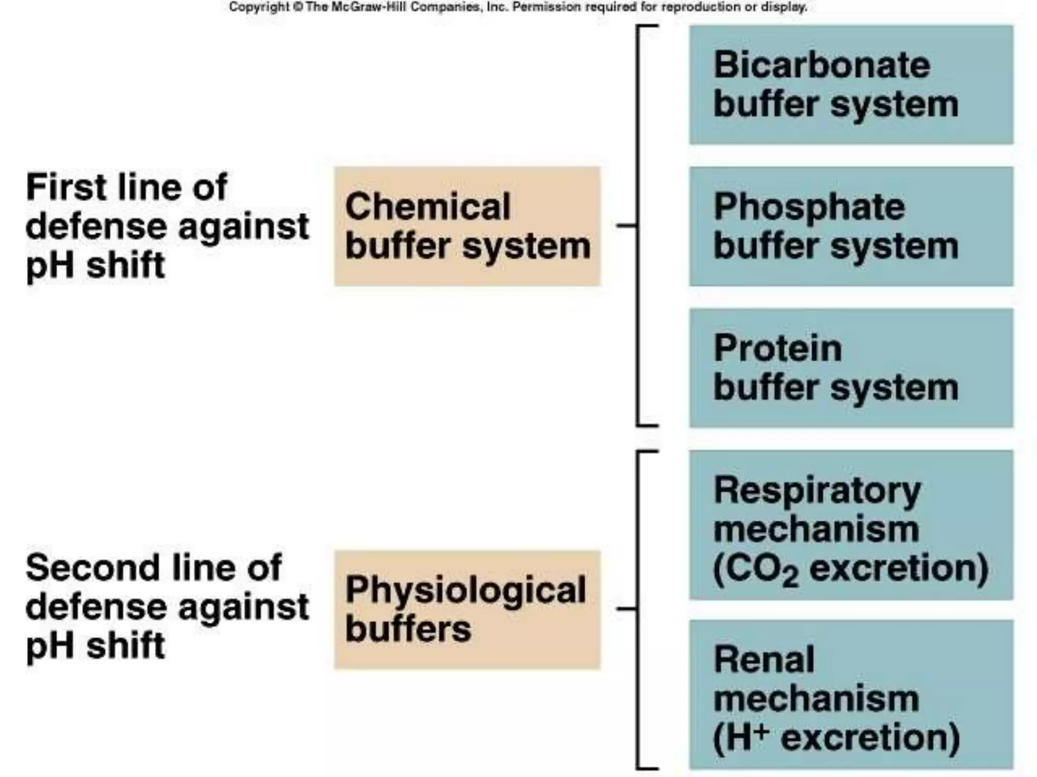 Arterial Blood Gas (ABG) analysis | PPTX