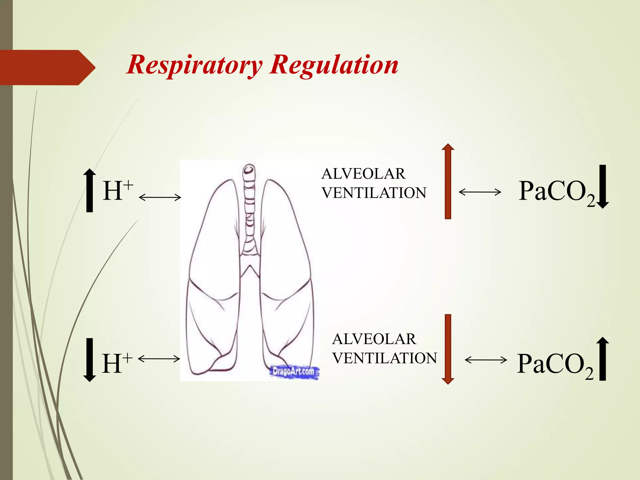 Arterial Blood Gas (ABG) analysis | PPTX