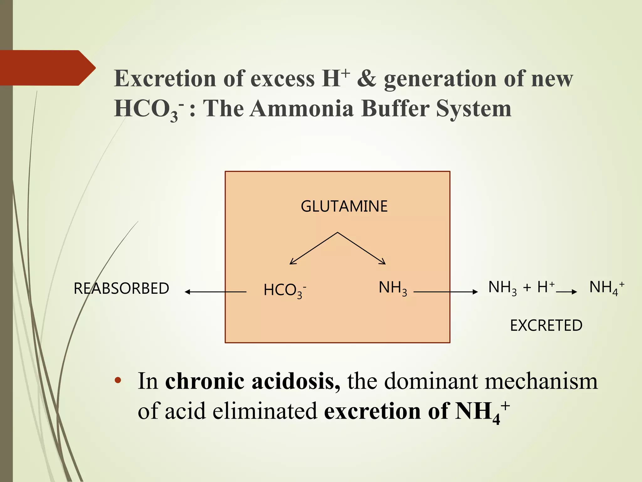Arterial Blood Gas (ABG) analysis | PPTX