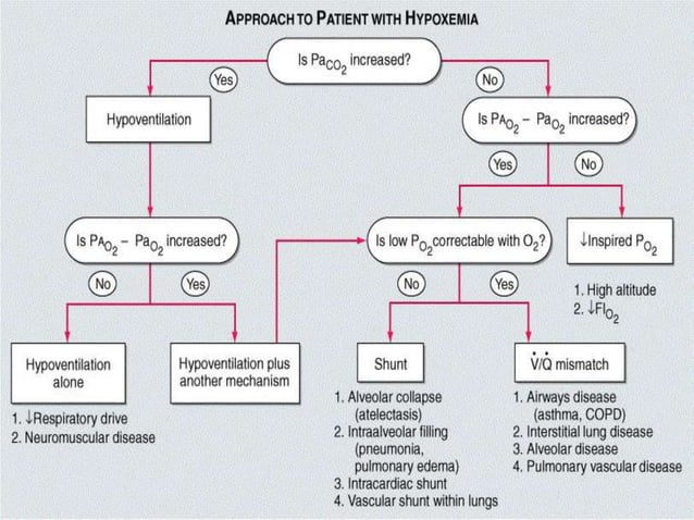 Arterial Blood Gas (ABG) analysis | PPTX