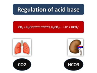 ABG interpretation | PPT