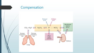 Arterial Blood Gases interpretation .pptx