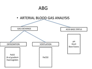 Abg analysis presentation for undergraduates and postgraduates | PPTX