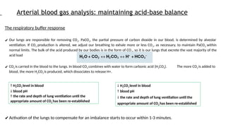 arterial blood extraction and interpretation.pptx | Lung and ...