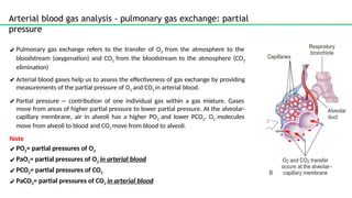 arterial blood extraction and interpretation.pptx | Lung and ...