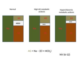 Arterial Blood Gas Interpretation with examples | PPT