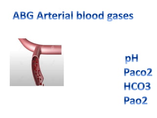 ABG- Understanding basics of Arterial Blood Gas | PPT