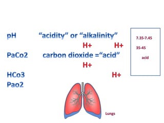 ABG- Understanding basics of Arterial Blood Gas | PPT