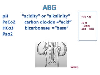 ABG- Understanding basics of Arterial Blood Gas | PDF