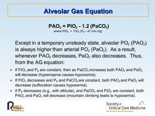 ABG Interpretation | PPT