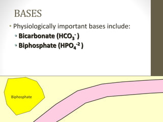 ACID BASE BALANCE & ARTERIAL BLOOD GAS ANALYSIS | PPTX
