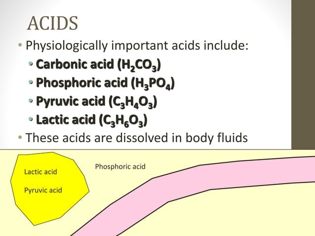 Acid Base Balance Arterial Blood Gas Analysis Pptx