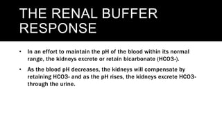 Arterial blood gas analysis | PPT