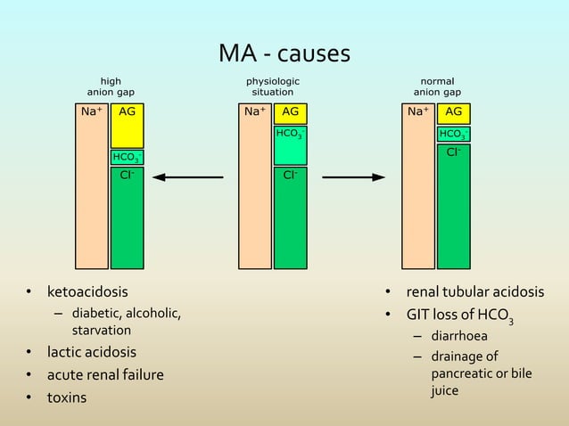Acid Base Balance & ABG Interpretation | PPTX | Lung and Respiratory ...
