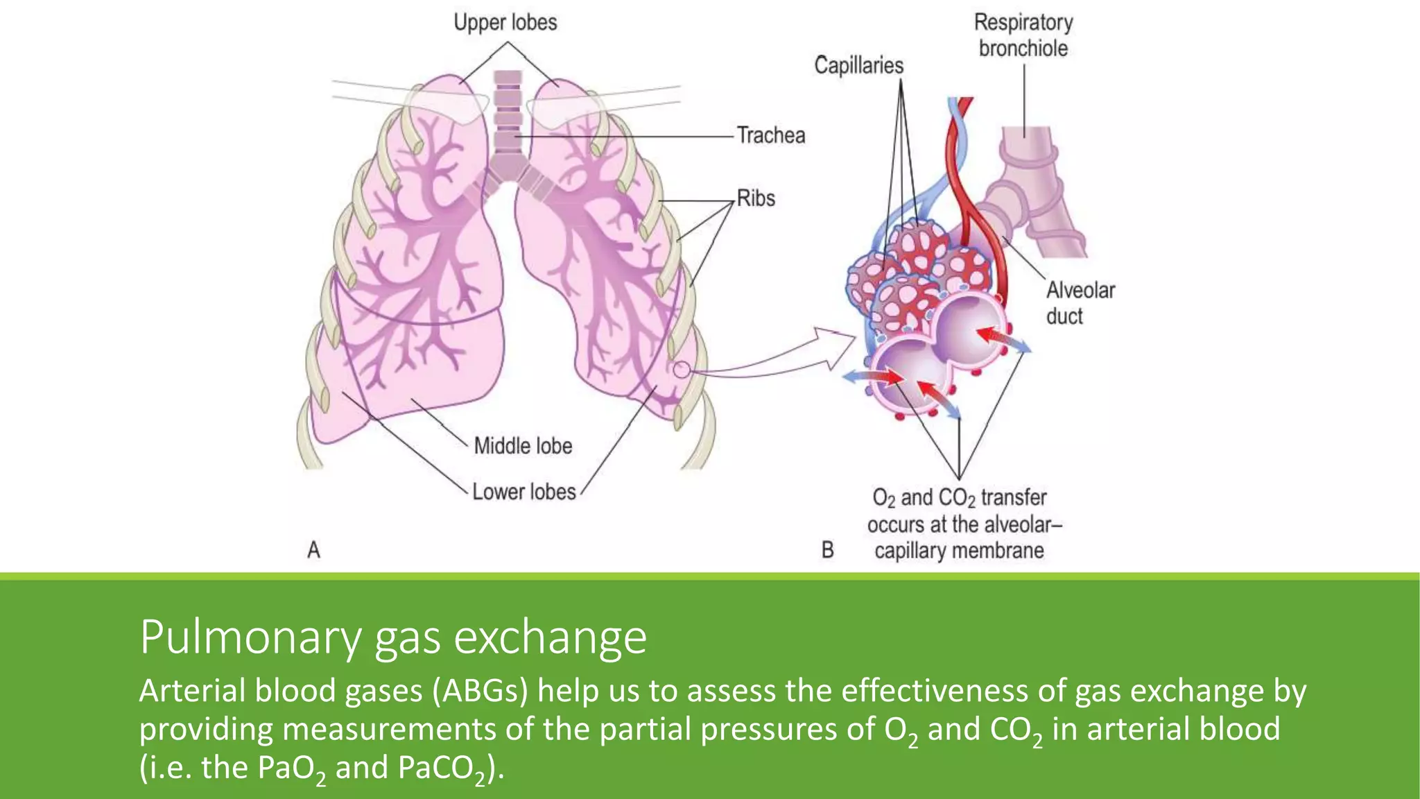 ABG Analysis in Pediatrics | PPTX