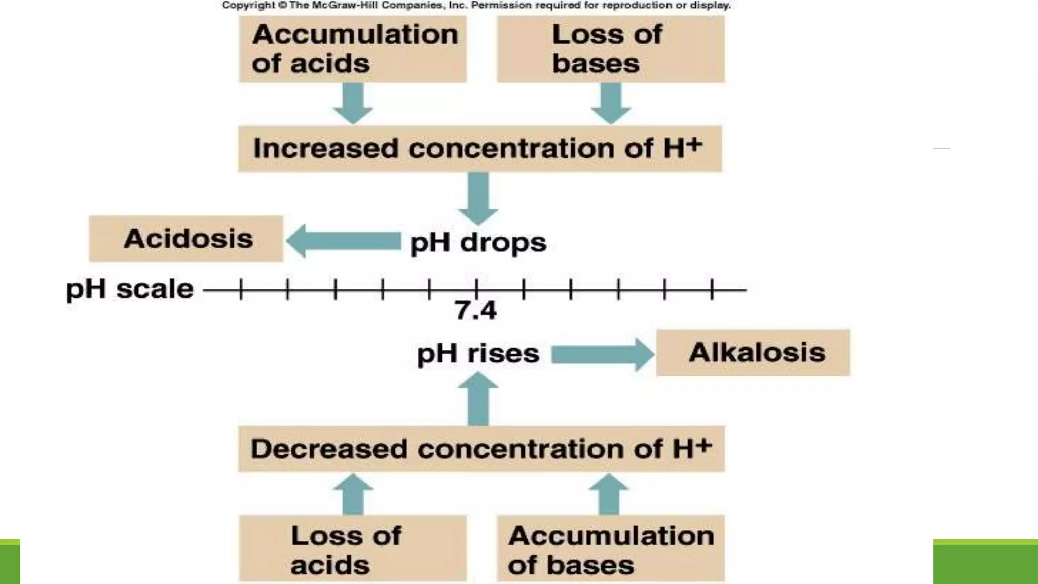 ABG Analysis in Pediatrics | PPTX