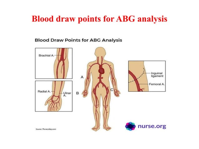 ABG Analysis ppt | PPTX