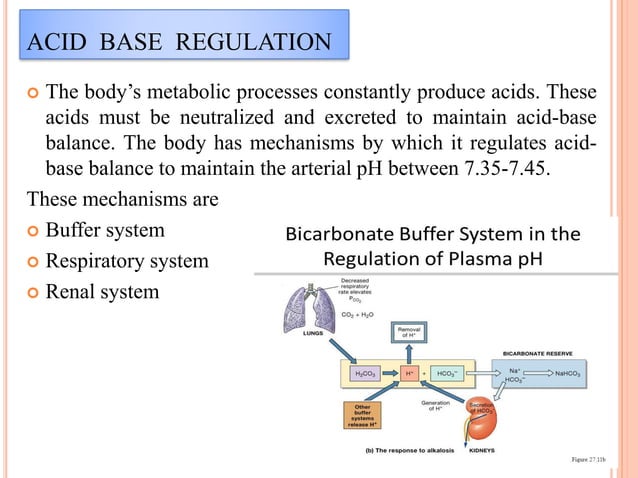 Arterial blood gas analysis (ABG) | PDF