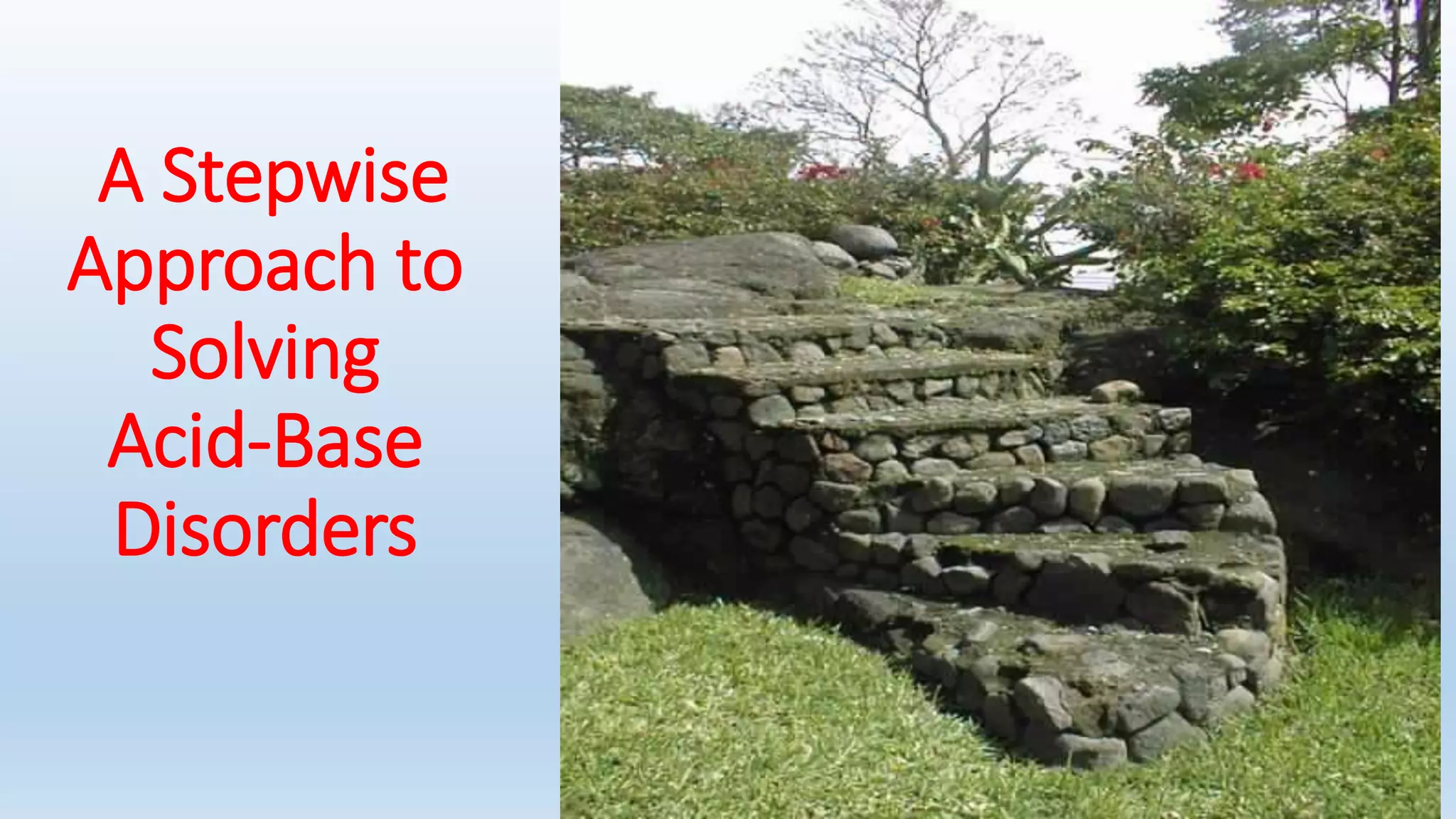 Approach to ABG Analysis | PPTX