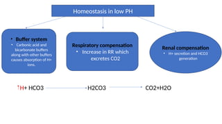 Acid Base pathology and ABG interpretation .pptx