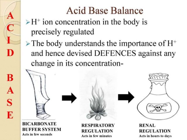 Acid base and ABG interpretation in ICU | PPT